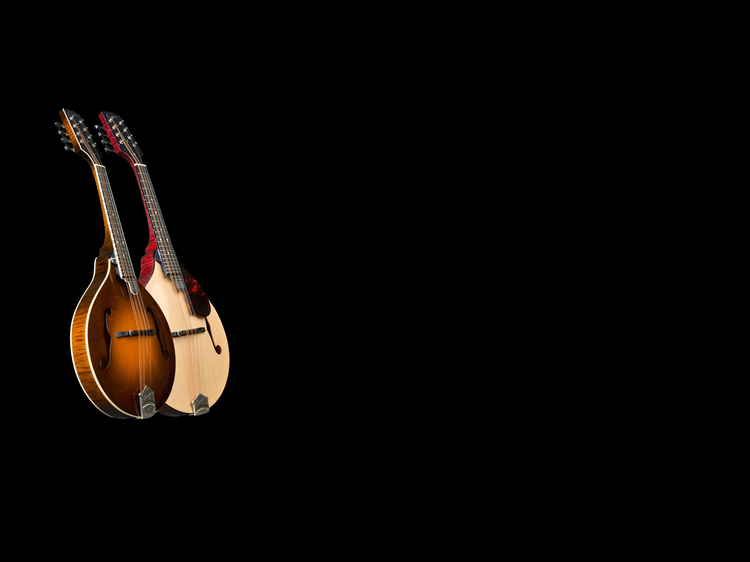 A-style Mandolin – Coostar